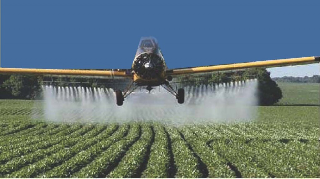 «En los pueblos fumigados encontramos tres veces más cáncer que en el ...