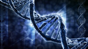 Investigadores argentinos desarrollan una técnica para descifrar ADN en ...