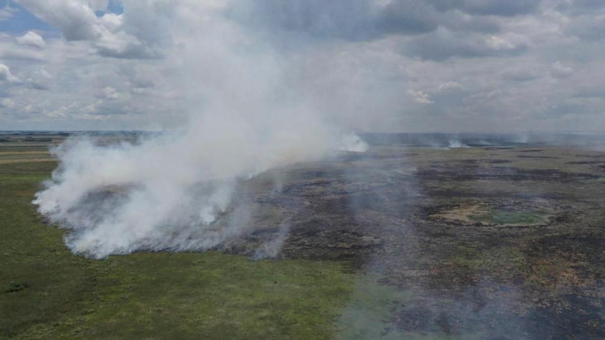 Los Esteros Del Iberá En Estado Crítico Por Los Incendios Forestales