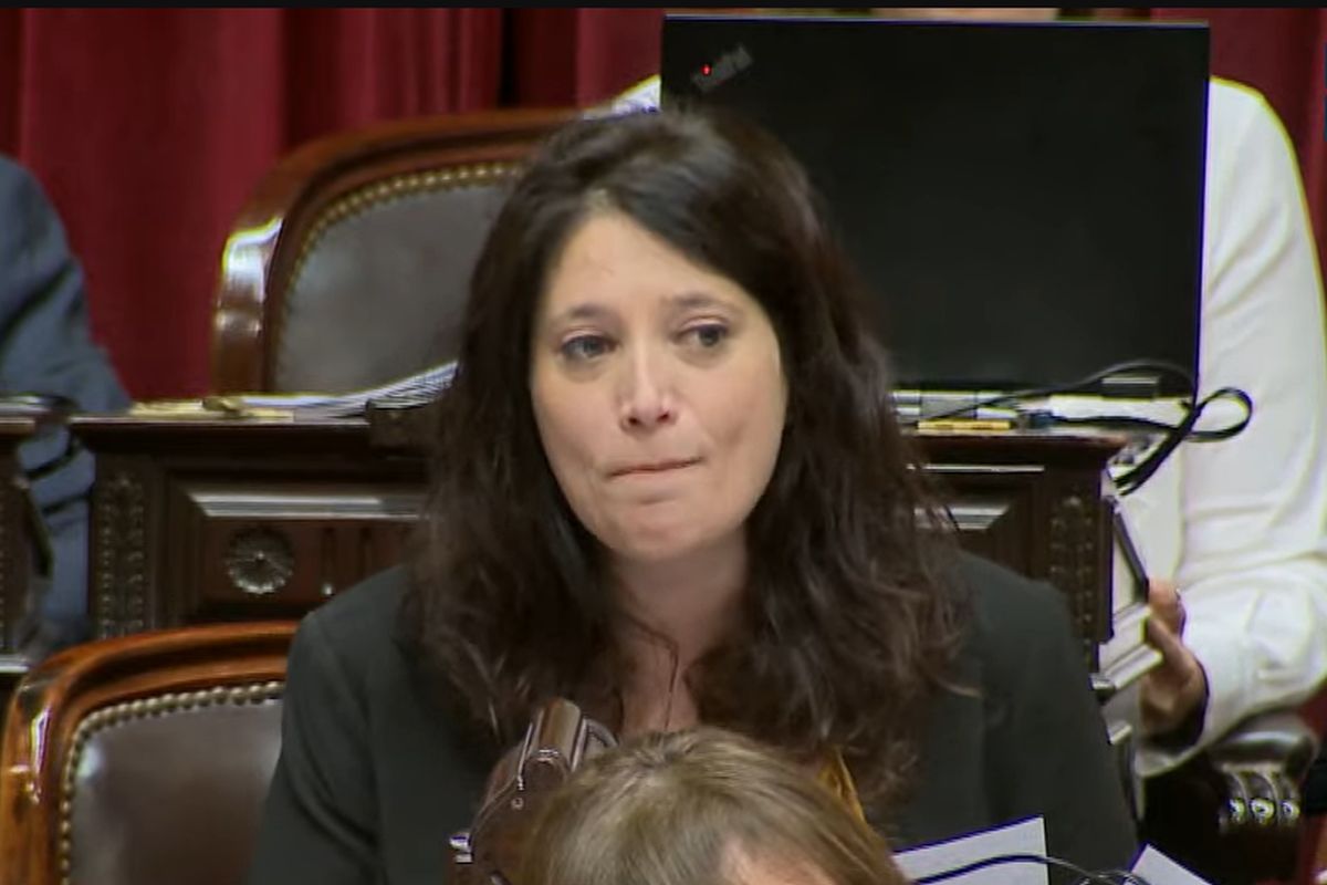 Diputada del Pro anuncia la creación de un “Registro de Violaciones a ...